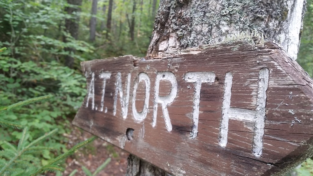 Rambling Roots Hostel – Hostel on the Appalachian Trail near NOC