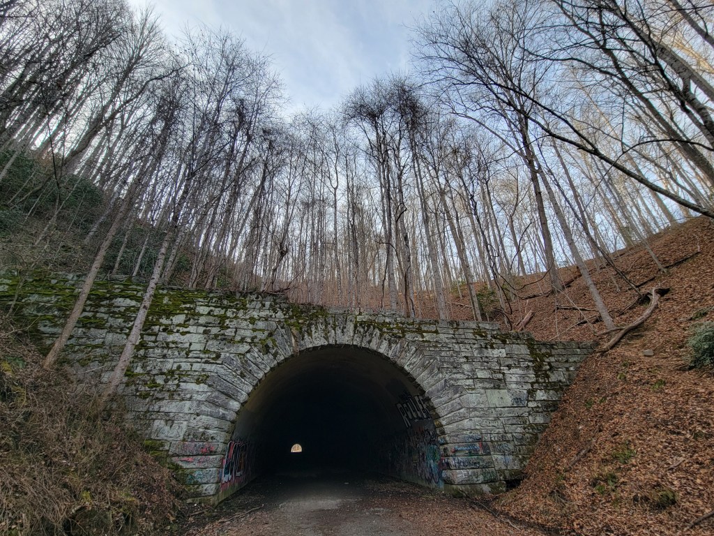 Things to do – Rambling Roots Hostel